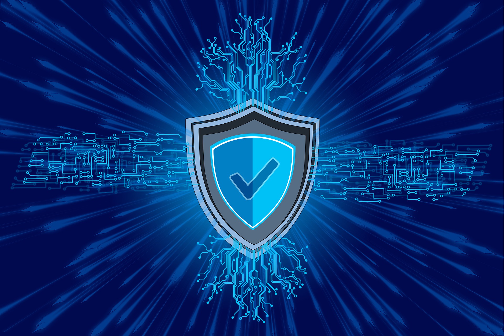 Best antivirus software store